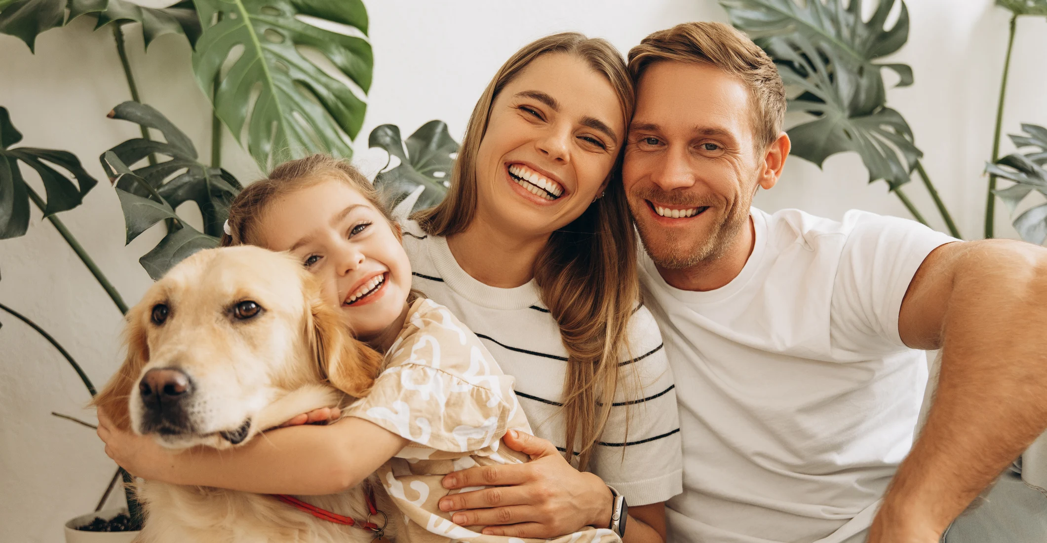 What Is Limited Benefit Insurance? Coverage, Costs & Limits 2026